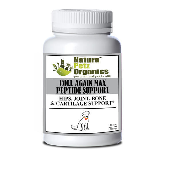 COLL AGAIN MAX COLLAGEN PEPTIDE SUPPORT CAPSULES* HIPS, JOINT, BONE